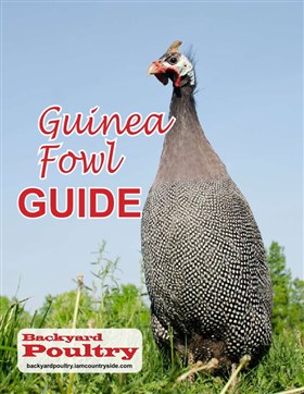 Countryside special sections