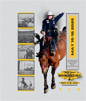 TSLN Special Sections