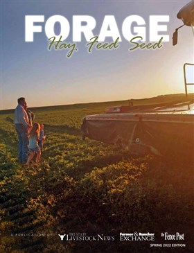 TSLN Special Sections