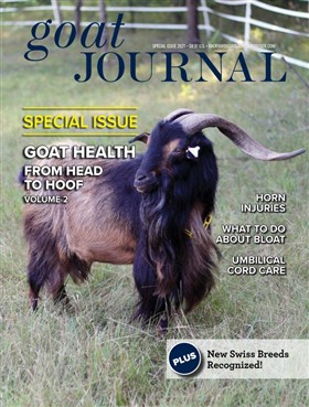 Countryside special sections